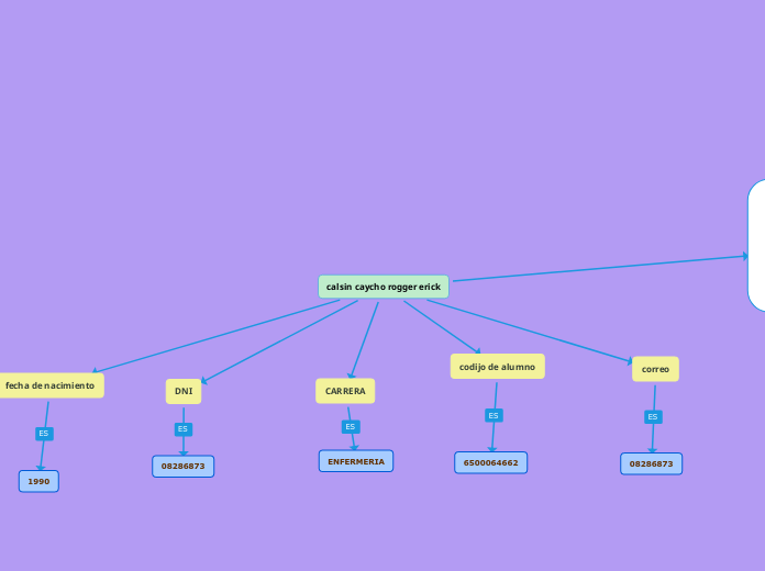 calsin caycho rogger erick - Mind Map